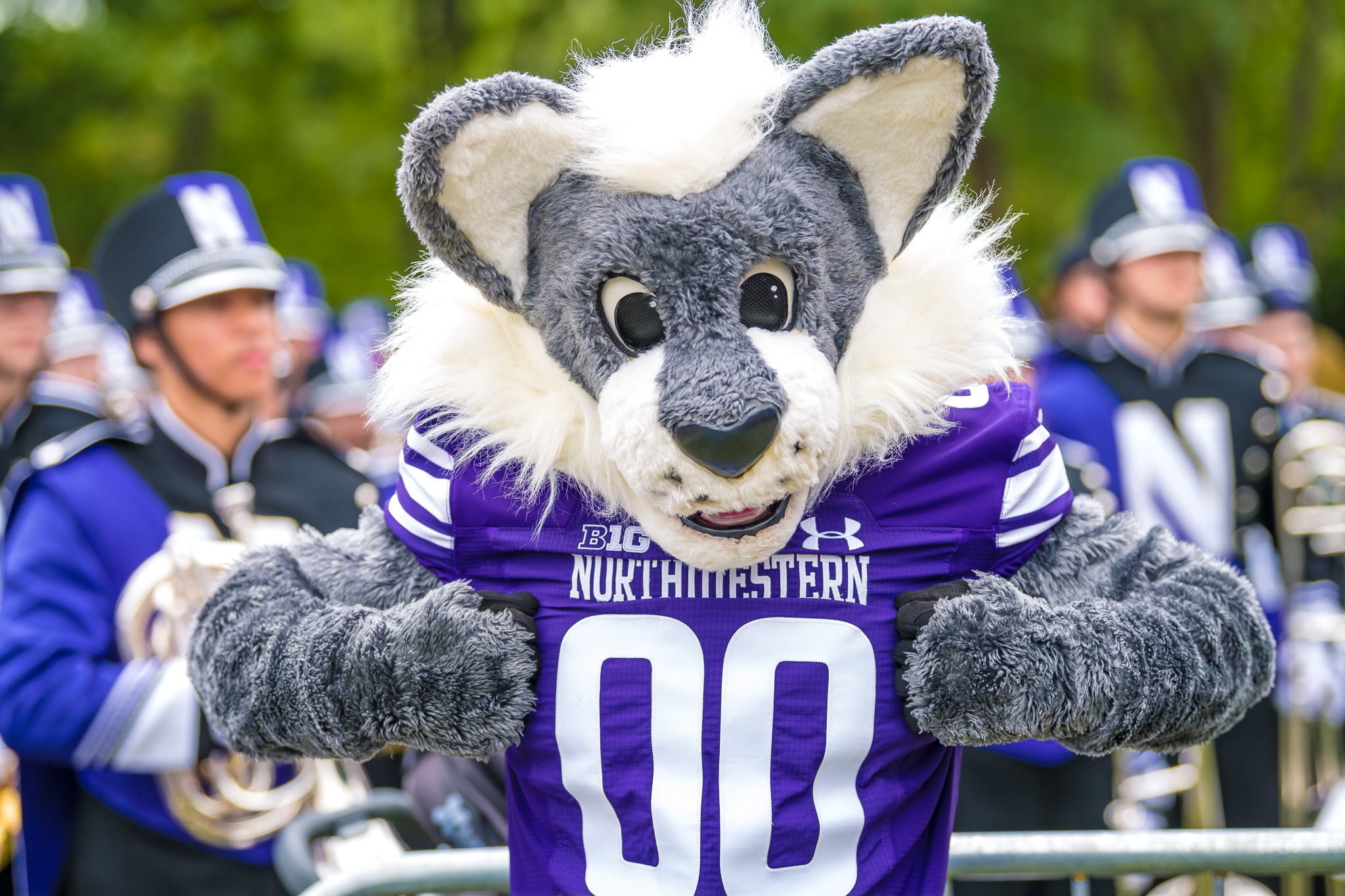 Request Willie the Wildcat!